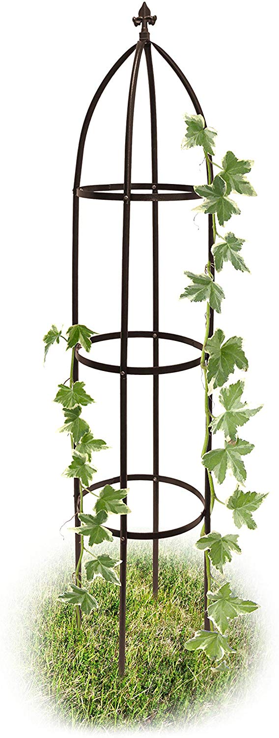 Rankgitter Test 2025: die BESTEN im Vergleich » (10/2025) 🥇